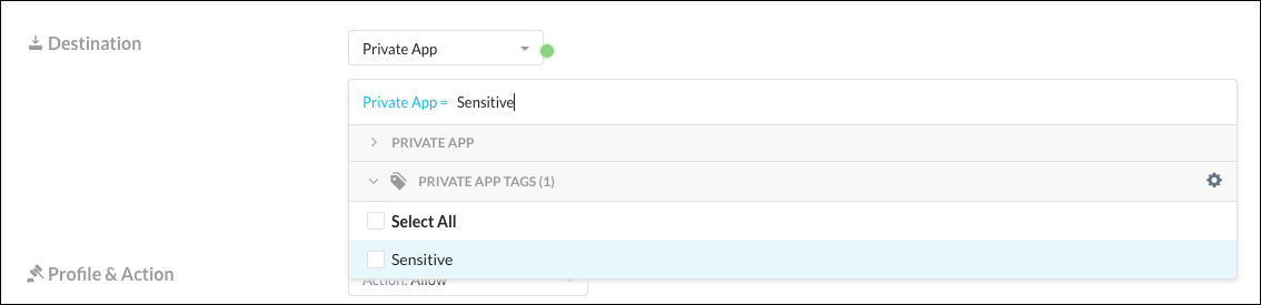 Use Private App Tags in App Definitions - Netskope Knowledge Portal