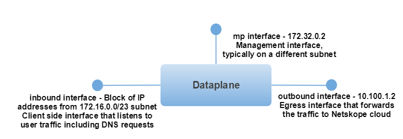 Configure the Interface for Dataplane On-Premises - Netskope Knowledge ...