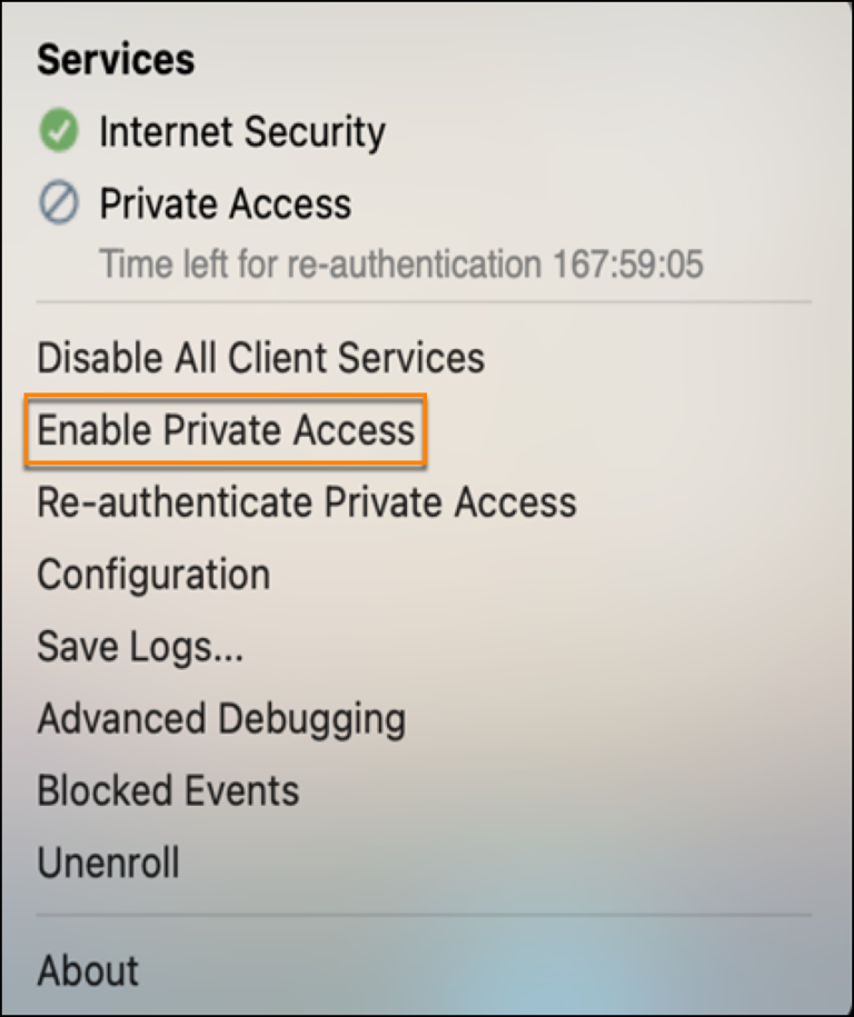 Allow Users to Disable Private Apps Access on the Netskope Client ...