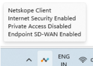 Using Netskope Client - Netskope Knowledge Portal