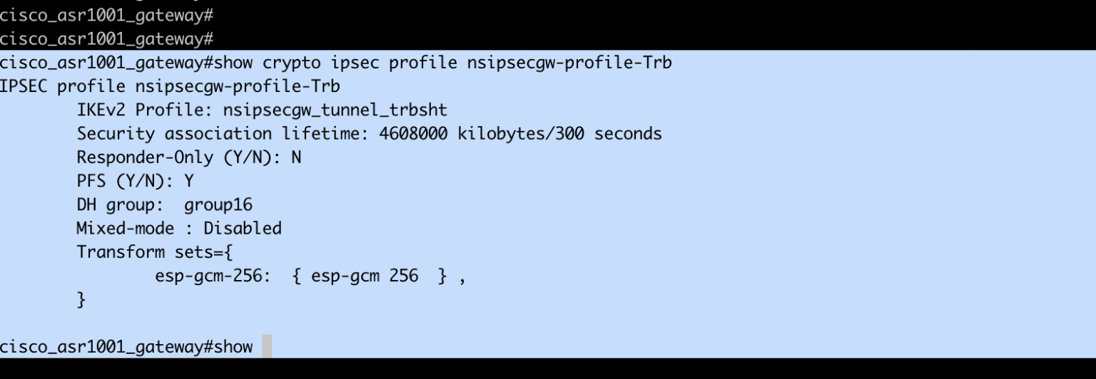 Troubleshooting IPSec - Netskope Knowledge Portal
