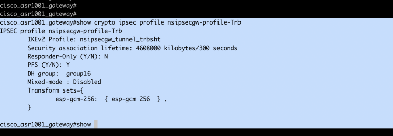 Troubleshooting IPSec - Netskope Knowledge Portal